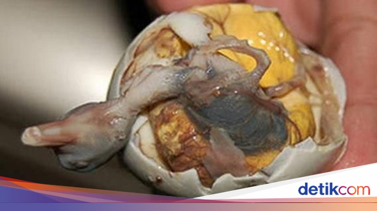 Balut, Telur Isi Embrio Bebek yang Kontroversi Tapi Tetap Disukai