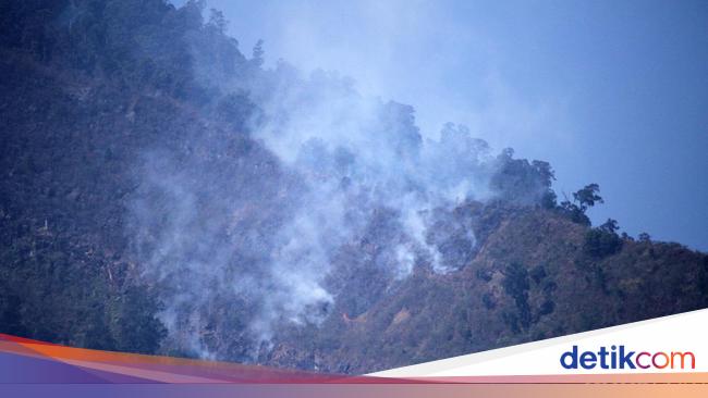Api Masih Berkobar di Gunung Malabar dan Puncak Mega Api Masih Berkobar di Gunung Malabar dan Puncak Mega