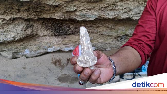 Perbedaan Pebble Culture, Bone Culture, dan Flake Culture serta Sejarahnya