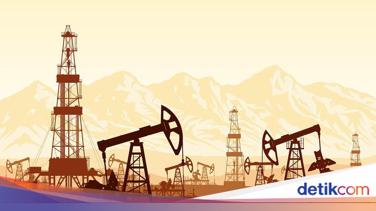 Pertamina Bikin Petral Jilid II?