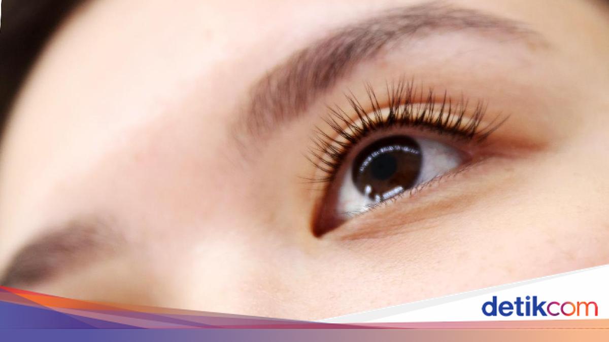 Mengenal Bagian Anatomi Mata Manusia Beserta Fungsinya