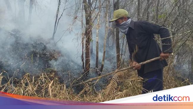 Hutan di Lereng Gunung Sumbing Kembali Terbakar