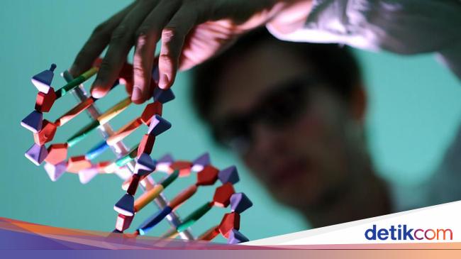 Organisme Transgenik pada Tanaman: Manfaat dan Cara Pembuatannya