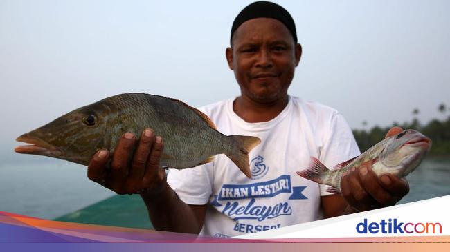 Melihat Nelayan Tradisional Mancing Ikan di Pulau Setanau