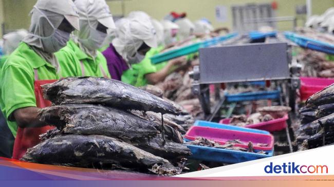 Kenaikan Biaya Logistik Perikanan Diusulkan Ditunda