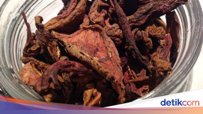 Kulat Pelawan, Jamur 'Truffle' Indonesia Seharga Rp 4 Juta Per Kg