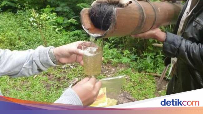Mengenal Tuak, Minuman Khas Masyarakat Batak di Setiap Kondisi