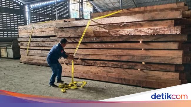 17 Kontainer Kayu Ilegal dari Maluku Diamankan Petugas KLHK di Surabaya