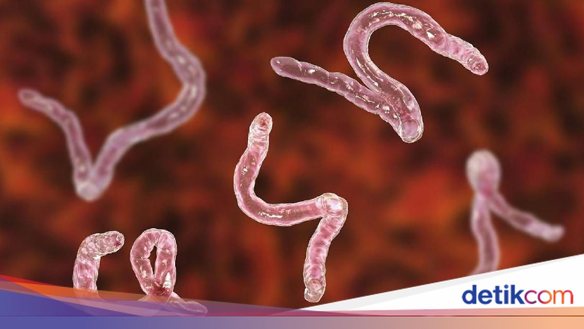 Parasitisme: Definisi dan Contoh-contoh Menariknya
