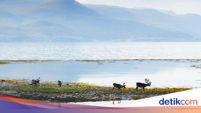 Foto: Tempat-tempat yang Menginspirasi Film Frozen