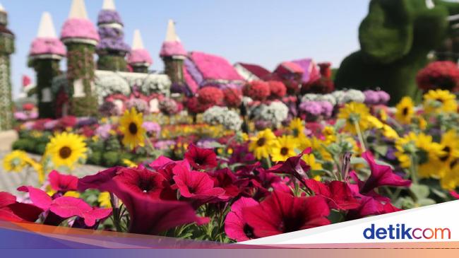 Foto: Taman Bunga Terbesar Dunia di Dubai