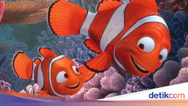 Duh, Ikan Kawan-kawan Nemo Terancam Punah