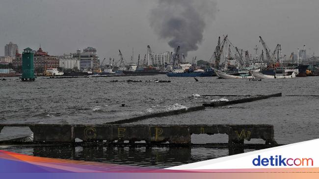 7 Penyebab Kerusakan Laut, Apa Saja?