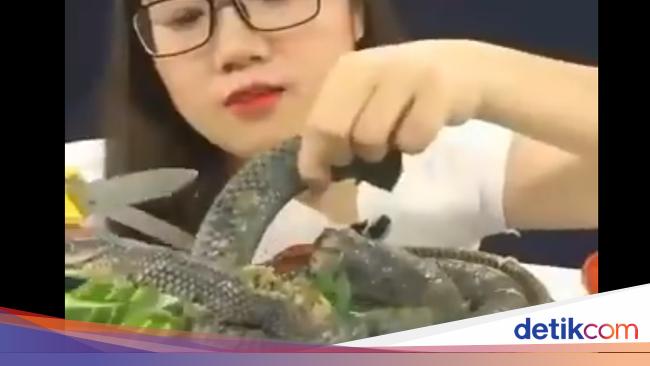 RI Masih Impor Ular hingga Kura-kura dari China?