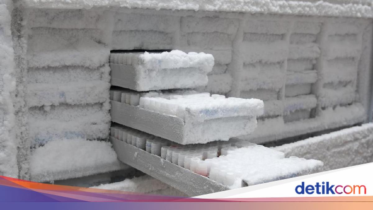 6 Penyebab Munculnya Bunga Es di Freezer Beserta Pencegahannya