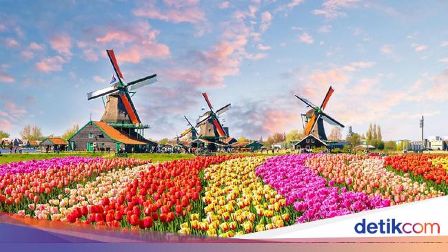 Apa Perbedaan Holland, Dutch, Belanda dan Netherland yang Sering Dikira ...