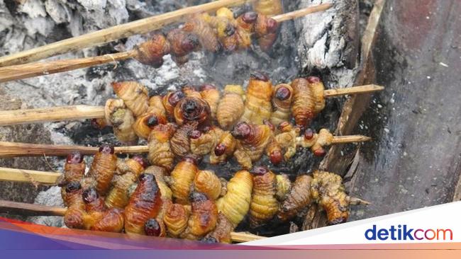 Begini Rasanya Makan Ulat Sagu di Papua