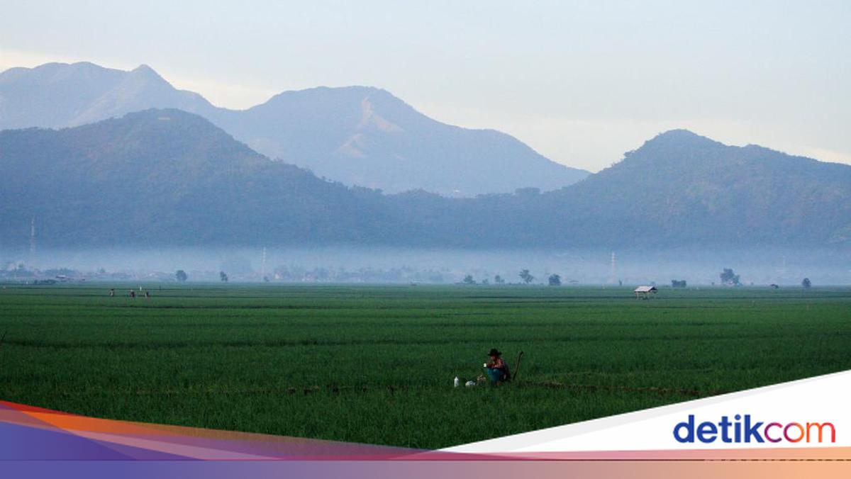 Prakiraan Cuaca Bandung Hari Ini, 13 September 2025: Berawan Sejuk