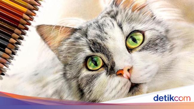 10 Mitos Populer soal Kucing di Indonesia dan Mancanegara