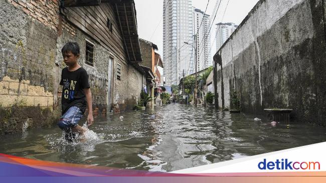 Cara Ganti Sertifikat Tanah yang Rusak karena Banjir Cara Ganti Sertifikat Tanah yang Rusak karena Banjir