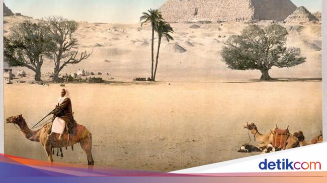 Mengenal Bangsa Hamit Warga Kulit Putih Afrika, di Mana Mereka Tinggal?