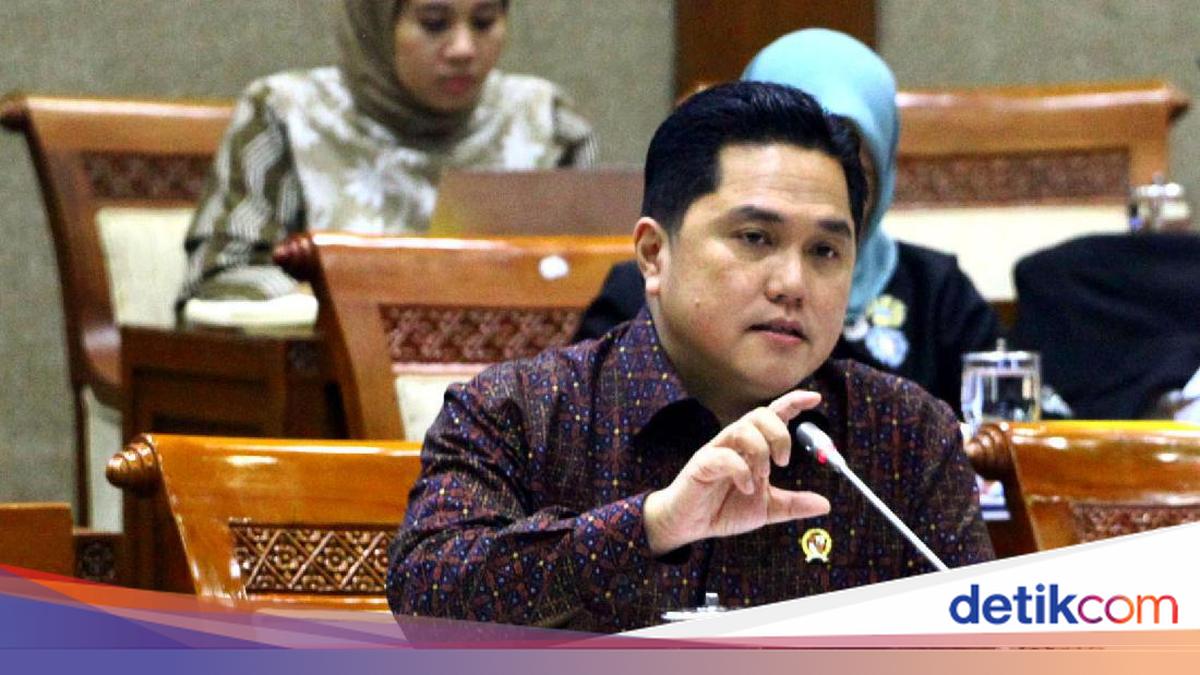 Nawal Nely, Profesional yang Ditarik Erick Thohir ke BUMN