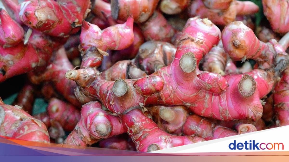 8 Manfaat Jahe Merah untuk Kesehatan dan Cara Mengonsumsinya, Herbal ...