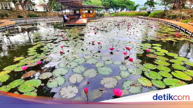 Foto: Kafe Instagramable di Tengah Danau, Lake Cafe