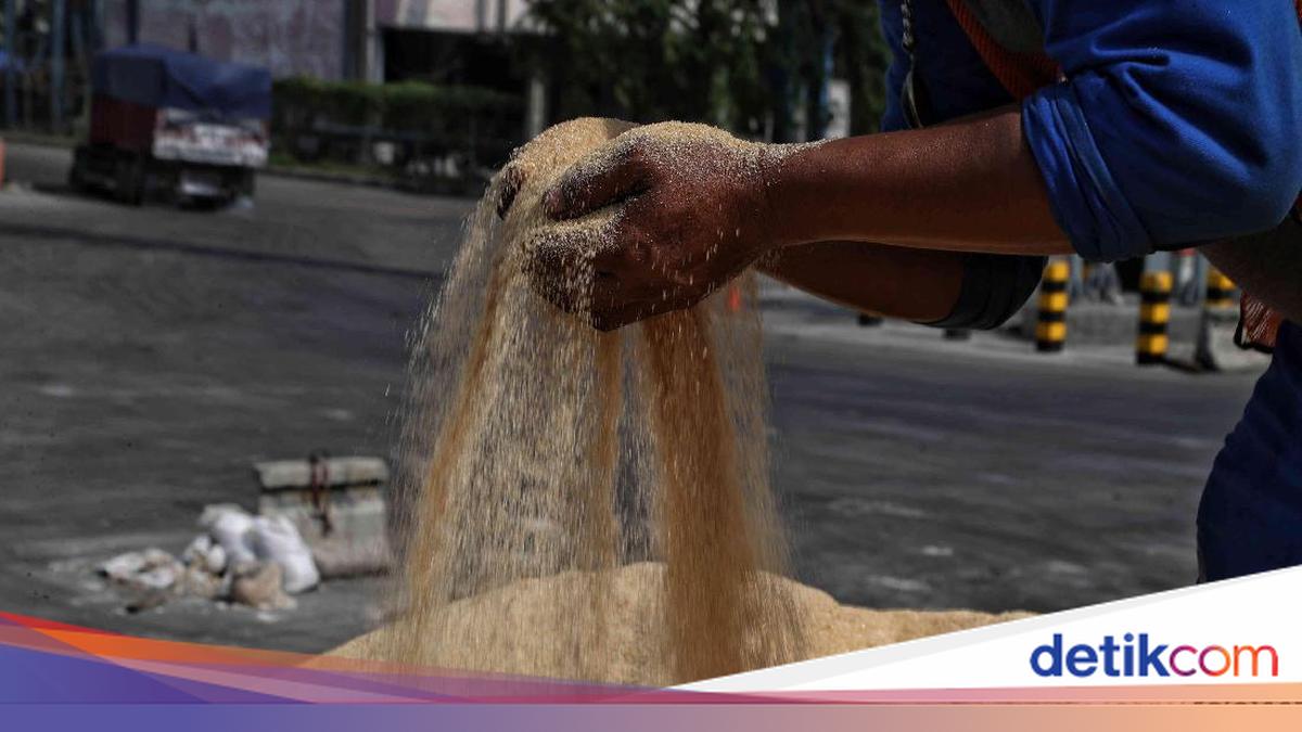 Ini Alasan Pemerintah Buka Keran Impor Gula