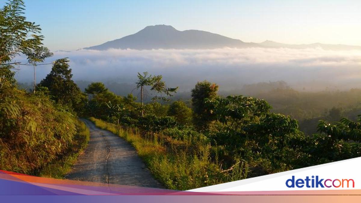Wisata Gunung Pesagi Atap Provinsi Lampung, Punya Dua Jalur Pendakian