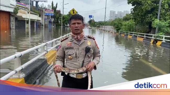 Cerita AKBP Dermawan yang Laporkan Banjir Jakarta Sambil Pegang Ular