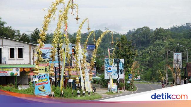 Janur Kuning Artinya Apa? Simak Pengertian hingga Fungsinya