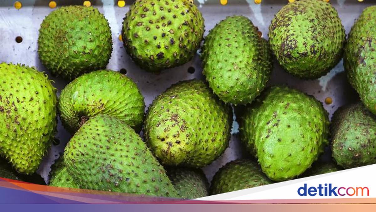 9 Manfaat Buah Sirsak Untuk Kesehatan Beserta Cara Mengolah Dan Efek