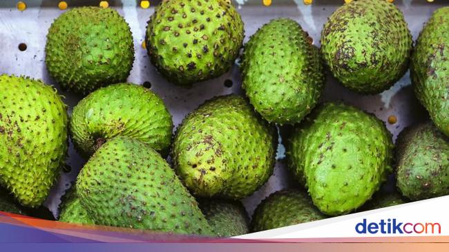 8 Manfaat Sirsak Untuk Tubuh, Mulai dari Buah hingga Daunnya