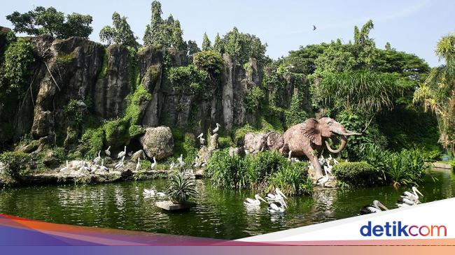 Kebun Binatang Ragunan Buka Mulai 20 Juni, Simak Aturan Barunya