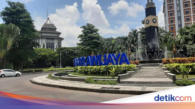 Cek Hasil Seleksi Mandiri Universitas Brawijaya Selma UB 2020, Ini Caranya