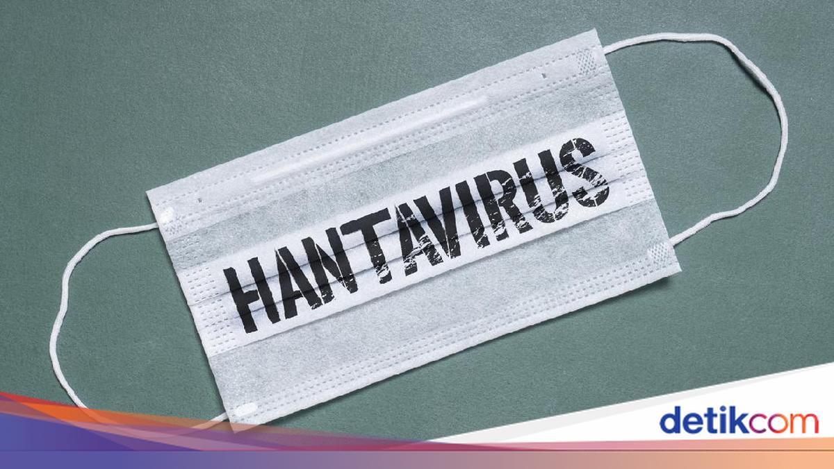 Catat Kasus Penyakit Akibat Tikus, Dinkes Tarakan: Bukan Hantavirus