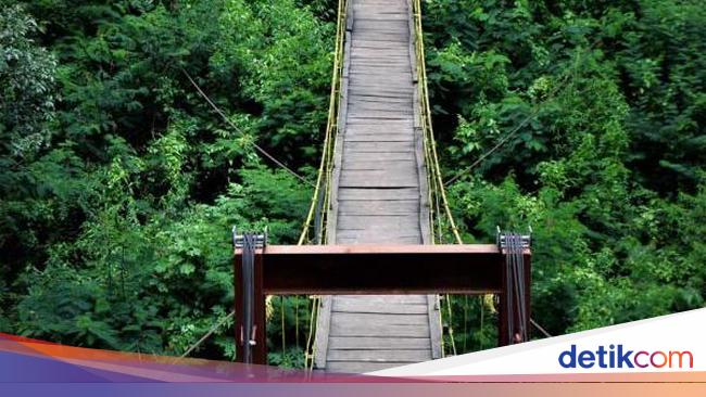 Catat, Segini Harga Tiket Masuk ke Tahura Bandung Sekarang Catat, Segini Harga Tiket Masuk ke Tahura Bandung Sekarang