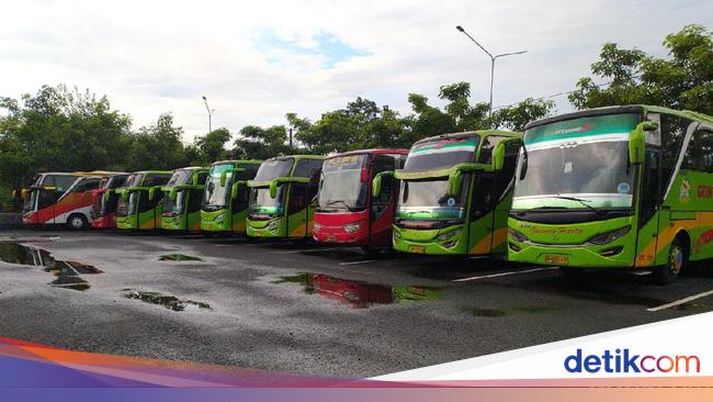 Tak Bisa Angkut Penumpang, Muncul Wacana Bus Jadi Angkutan Barang
