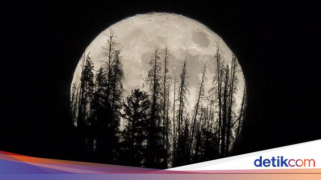 Penampakan Bulan 'Raksasa' dari Berbagai Negara yang Memukau Mata