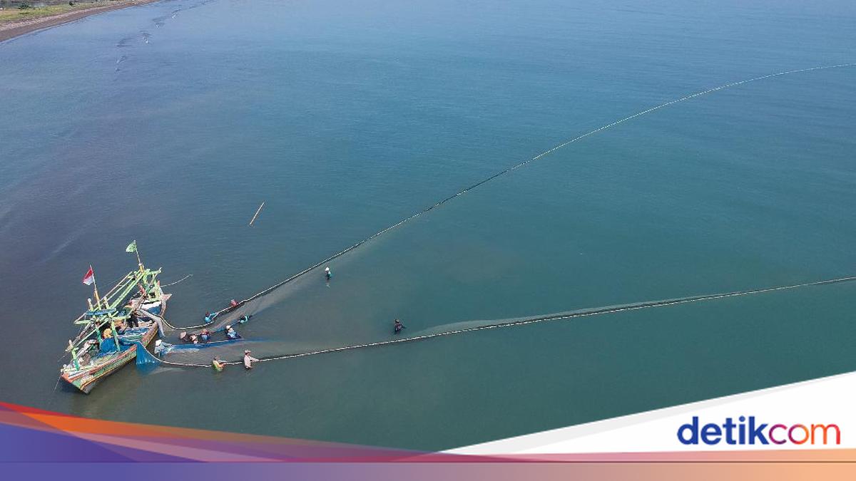 Akademisi Soroti Minimnya Regulasi Arus Rip di Indonesia