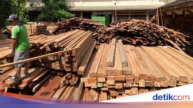 Berkas Lengkap, Pembalak Liar 26.083 Kayu Bakal Disidang