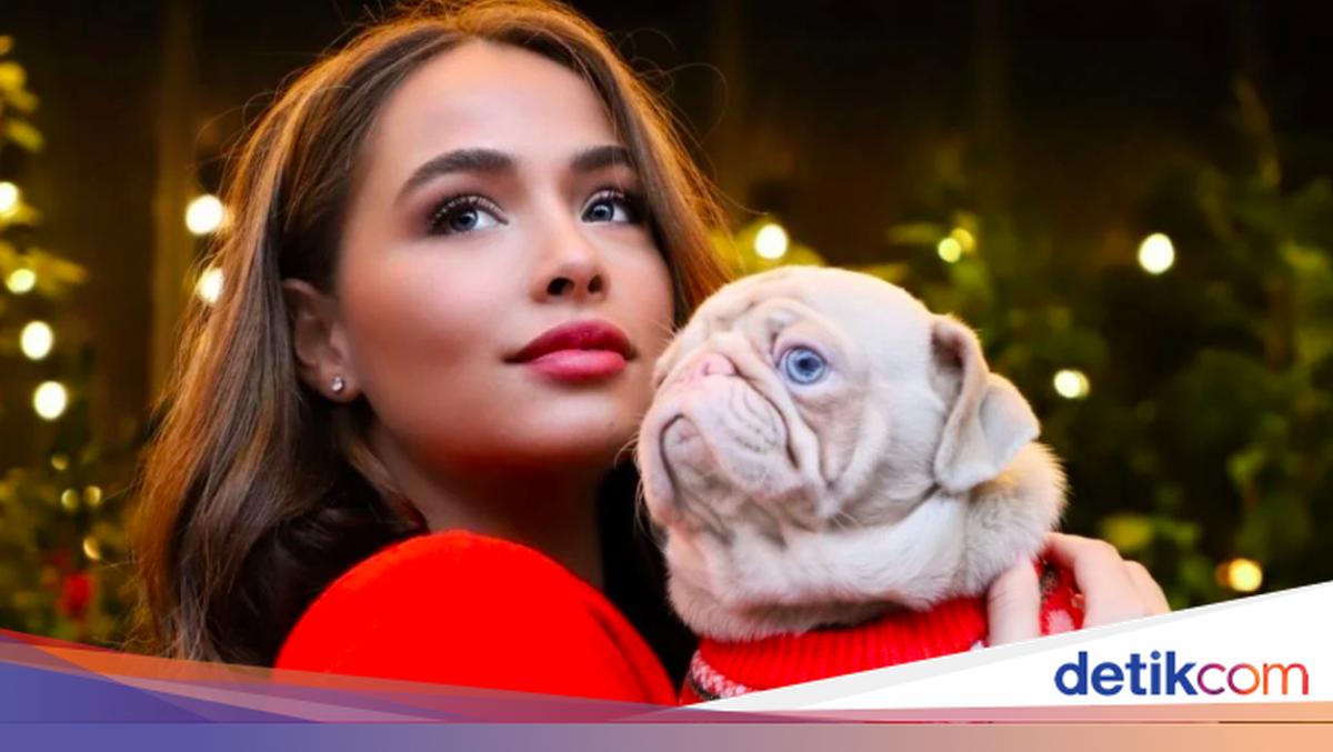 Kenalin, Anjing Pink Lucu Idola Baru di Instagram