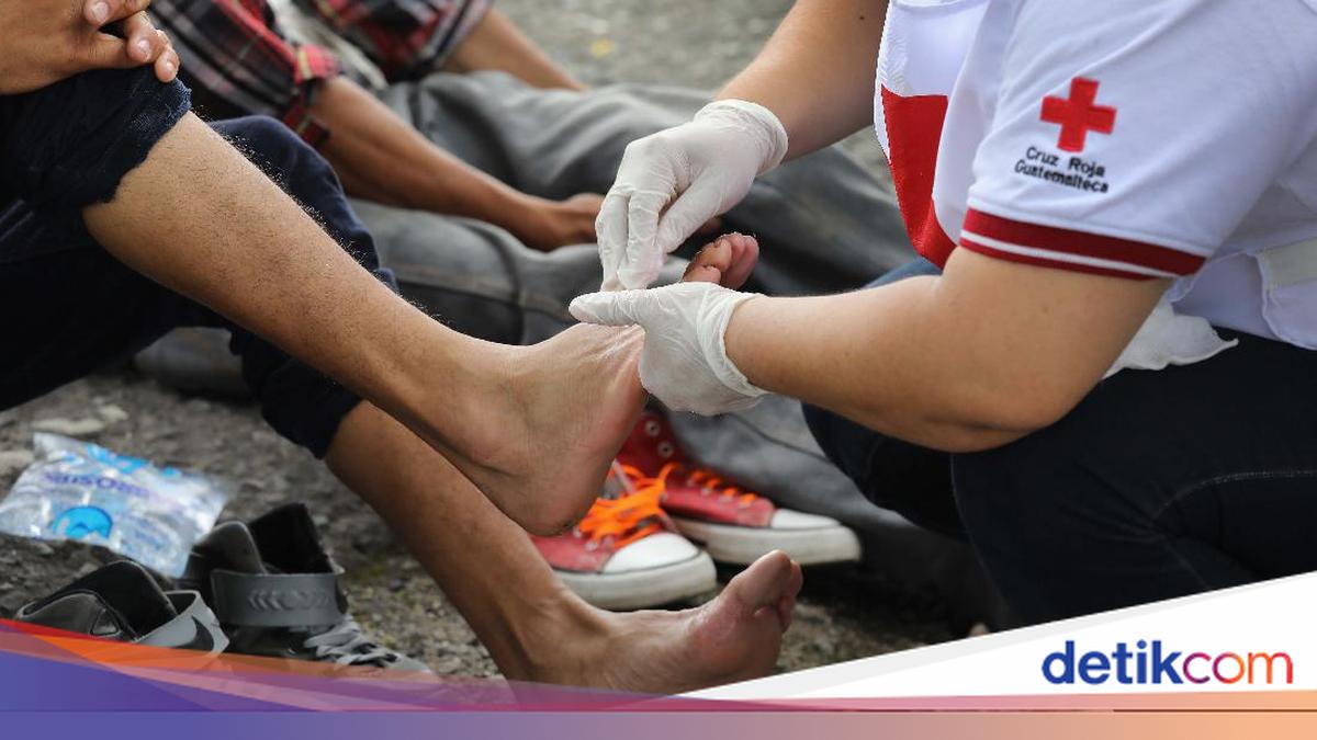 Mengapa 8 Mei Diperingati Sebagai Hari Palang Merah Internasional?