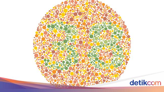 Mengenal Buta Warna Parsial, Calon Bintara Polri Gagal Pendidikan Karenanya