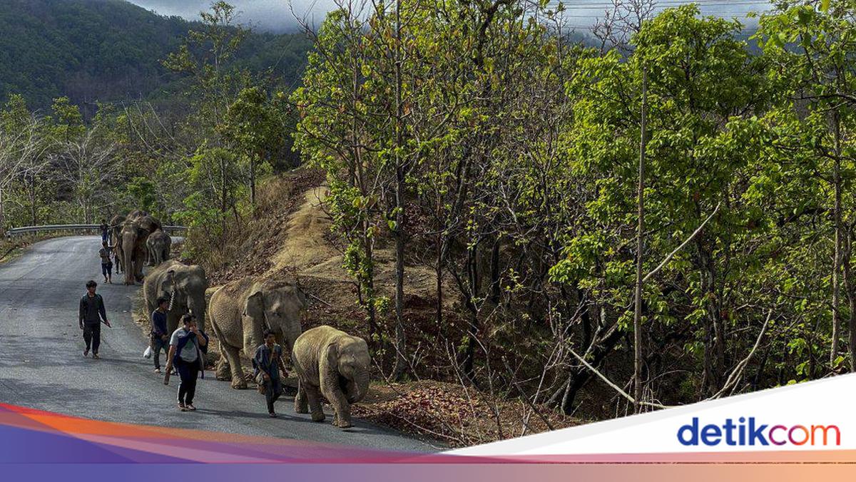 Manakah Negara di Asia Tenggara yang Memiliki Iklim Tropis dan ...