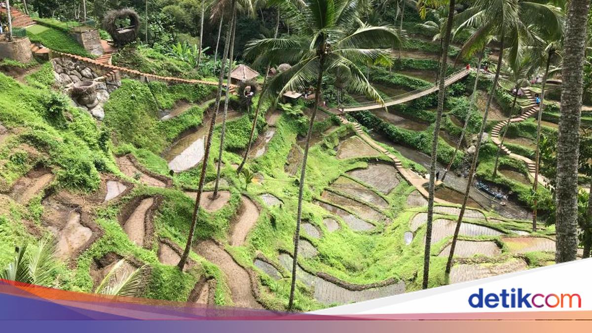 Subak Bali: Pengertian, Sejarah, dan Tujuh Keterikatan Orang Bali