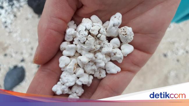Pantai Ini Punya Pasir Seperti Popcorn, Favorit untuk Surfing