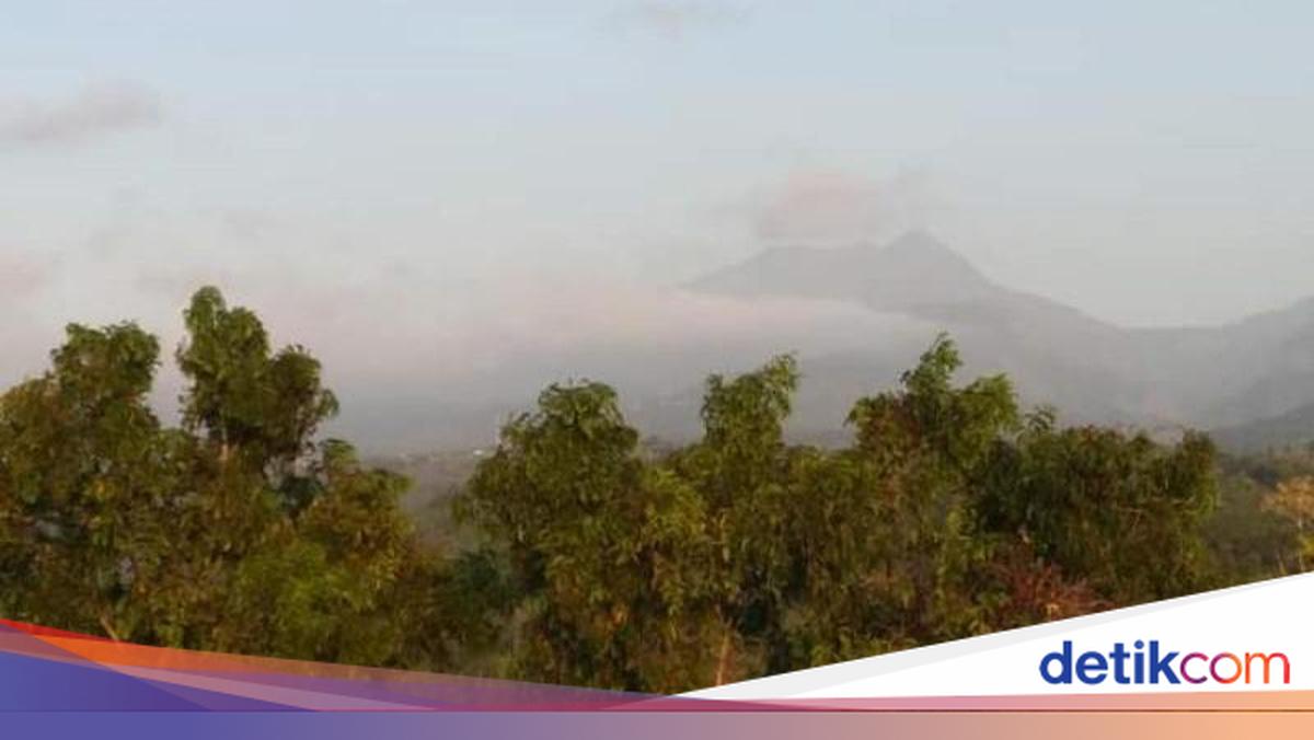 4 Fakta Menarik Gunung Wilis, Surga Tersembunyi Bagi Pendaki