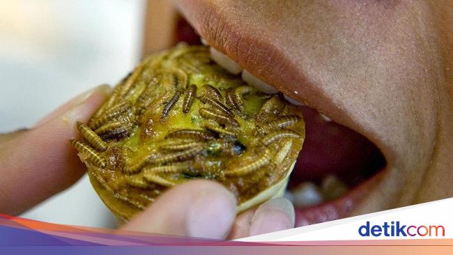 5 Budaya Kuliner Makan Cacing yang Unik di Berbagai Negara